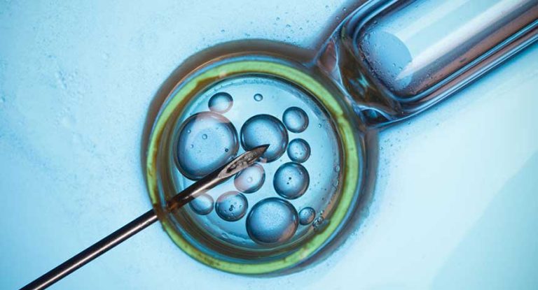 India’s fertility bodies flag non-invasive embryo genetic test ...
