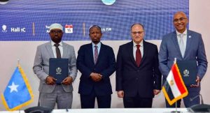 Egypt, Somalia regulators ink deal on drugs, medical devices - Medical ...