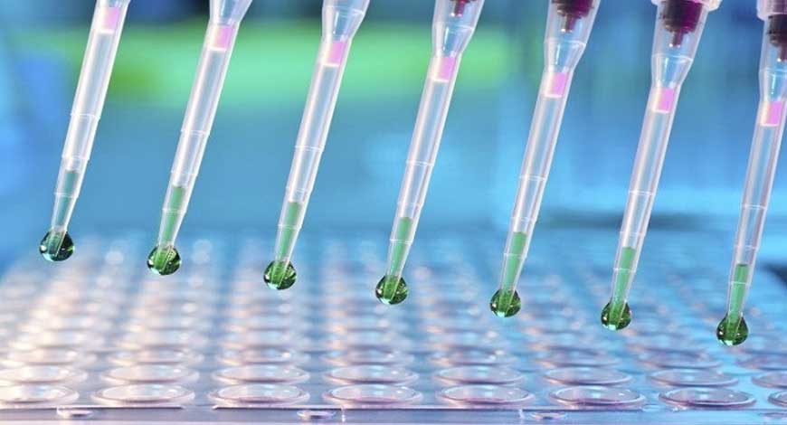 In vitro toxicology testing market to exceed USD 20.97B - Medical Buyer