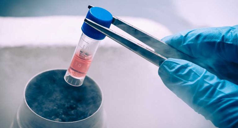 Stem cell therapy market to hit USD 3.65B - Medical Buyer